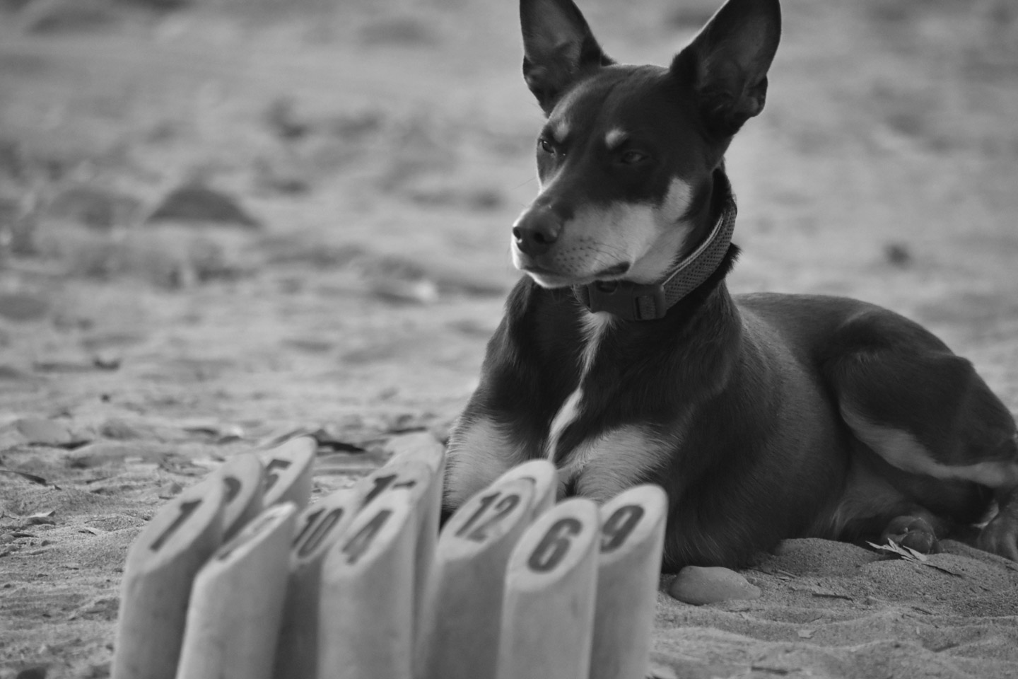 Finska - The Addictive Outdoor Game - Finska